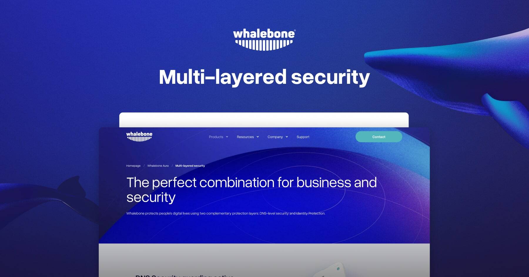 Whalebone Aura Multi-Layer Security | Complete Digital Life Protection